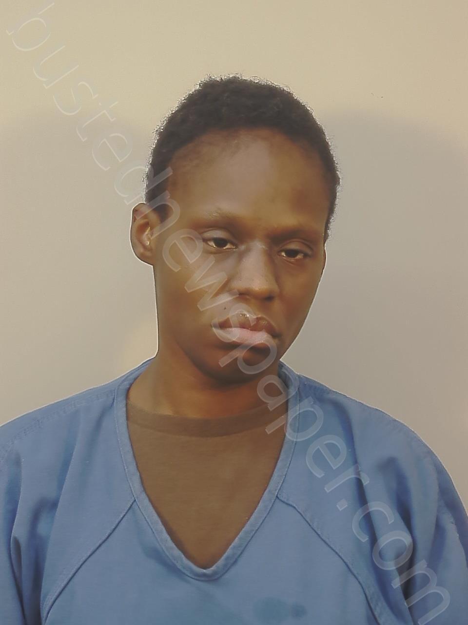 Twanna Nicole Johnson | 2026-01-04 11:28:00 Dane County, Wisconsin Booking