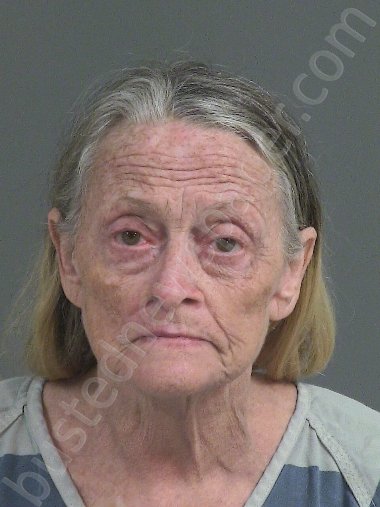 Winslow, Janeene Ellen | 2026-01-04 19:25:00 Charleston County, South Carolina Booking