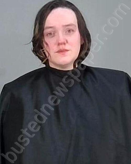 Shultz, Lindsey Michelle | 2026-01-05 20:41:00 Summit County, Ohio Booking