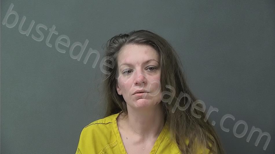 Wilson, Ashley Nicole | 2026-01-06 22:00:00 Howard County, Indiana Booking