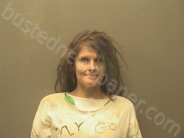 Coon,amanda, Gail | 2026-01-06 11:31:00 Garland County, Arkansas Booking