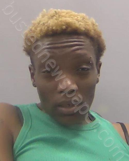 Gilchrist, Lisa Nicole | 2026-01-07 11:25:00 Chesapeake, Virginia Booking