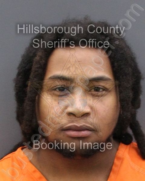 Johnson,louis | 2026-01-07 23:15:00 Hillsborough County, Florida Booking