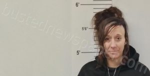 Bishop, Kelly Kay | 2026-01-10 17:10:00 Lincoln County, Missouri Booking