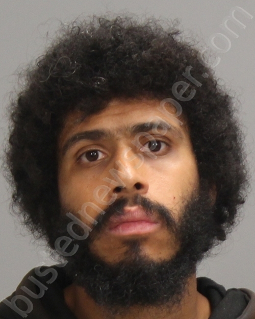 Fernandez, Jarred Jakob | 2026-01-10 Brazos County, Texas Booking