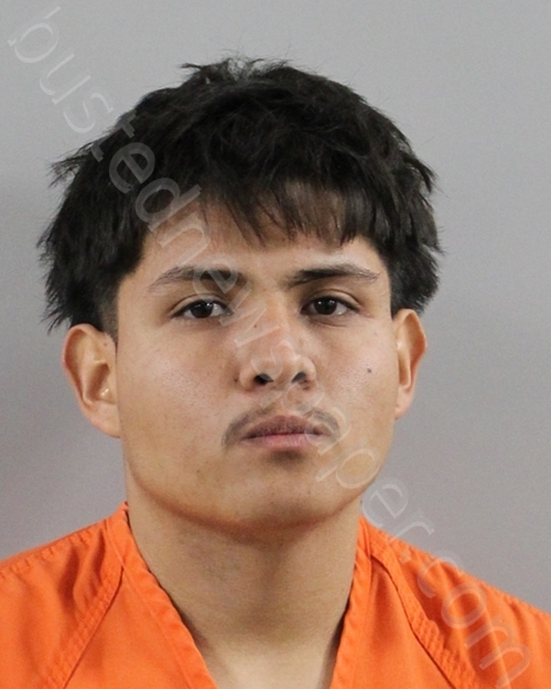 Escobar, Mario Alexander | 2026-01-11 Polk County, Florida Booking