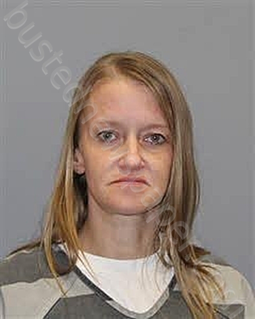 Johnson, Ruthann | 2026-01-12 15:43:00 Robertson County, Texas Booking