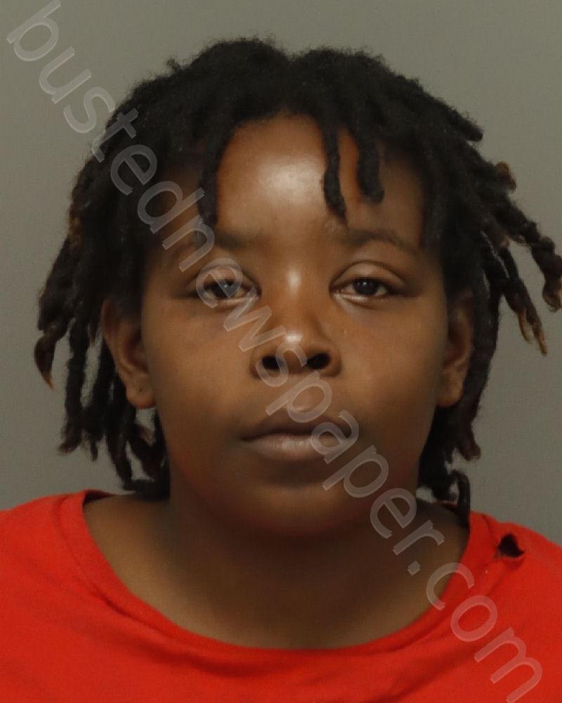 Tilley, Shamelia Anna | 2026-01-12 17:05:00 Wake County, North Carolina ...