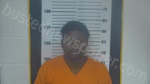 Shelton, Charles E | 2026-01-13 09:02:00 Ottawa County, Ohio Booking