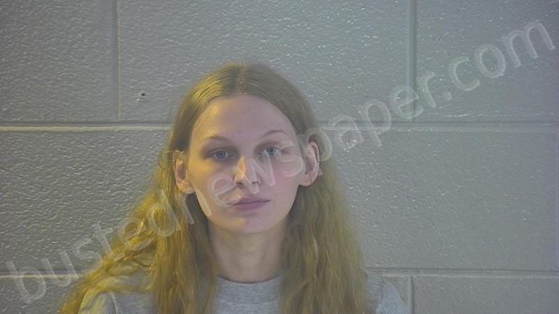 Johns, Ariel Brooke | 2026-01-13 13:09:00 Pulaski County, Kentucky Booking