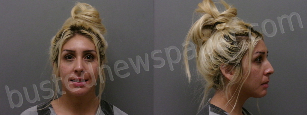 Moxley, Chelsea Nichole | 2026-01-13 Wise County, Texas Booking