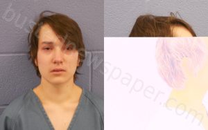 Michaels, Johanna Hope | 2026-01-13 Andrews County, Texas Booking