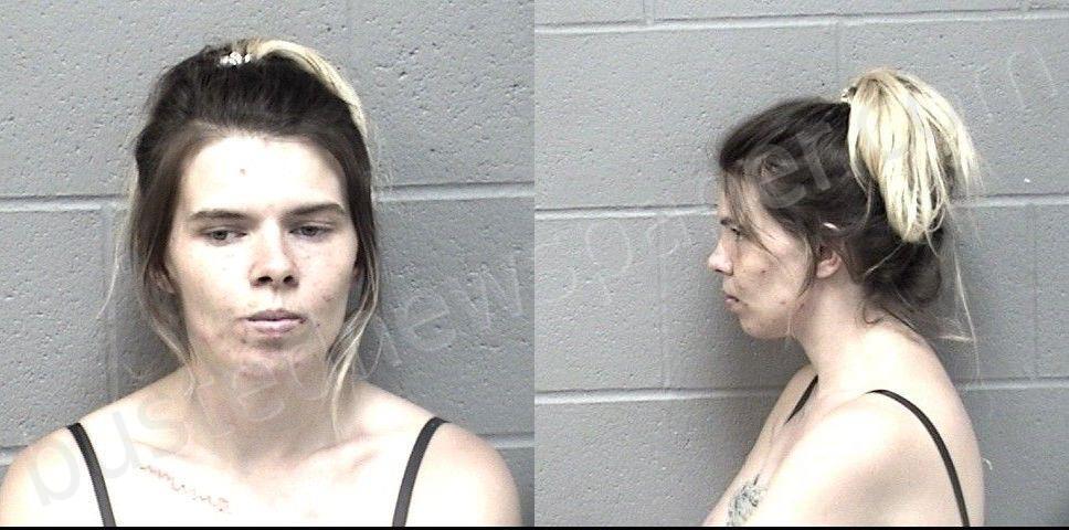 Barker, Natalie Shaye | 2026-01-13 16:00:00 Crawford County, Kansas Booking