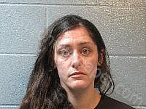 Pugh-mitchell, Jessica Renee | 2026-01-13 Huron County, Ohio Booking