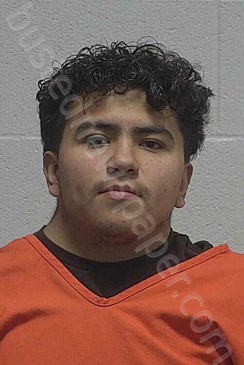 Hernandez-gonzalez, Eddie Ivan | 2026-01-13 19:17:00 Wayne County ...