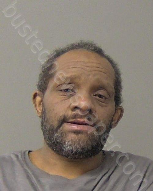 Flowers, Lacey Lamar | 2026-01-13 20:42:00 Macon County, Illinois Booking