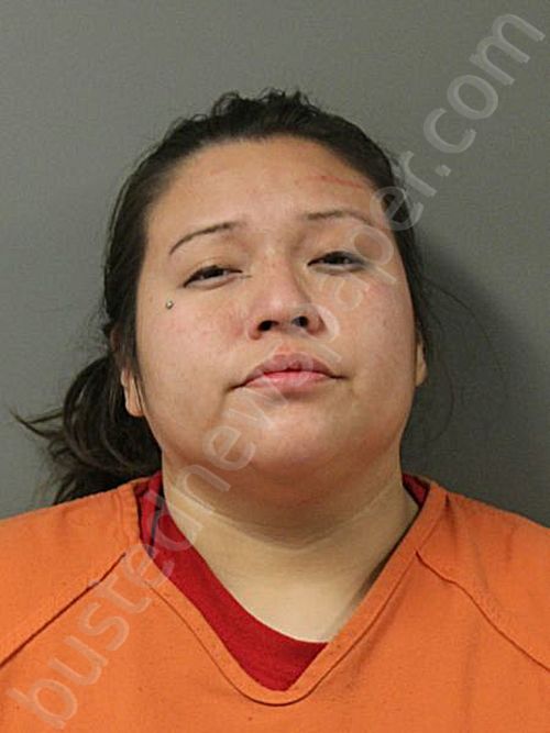 Papakee, Rainelle Jade | 2026-01-14 22:45:00 Webster County, Iowa Booking