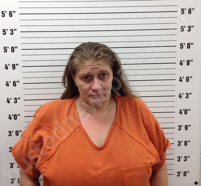 Booth, Misty Anne | 2026-01-17 22:43:00 Pickens County, Georgia Booking