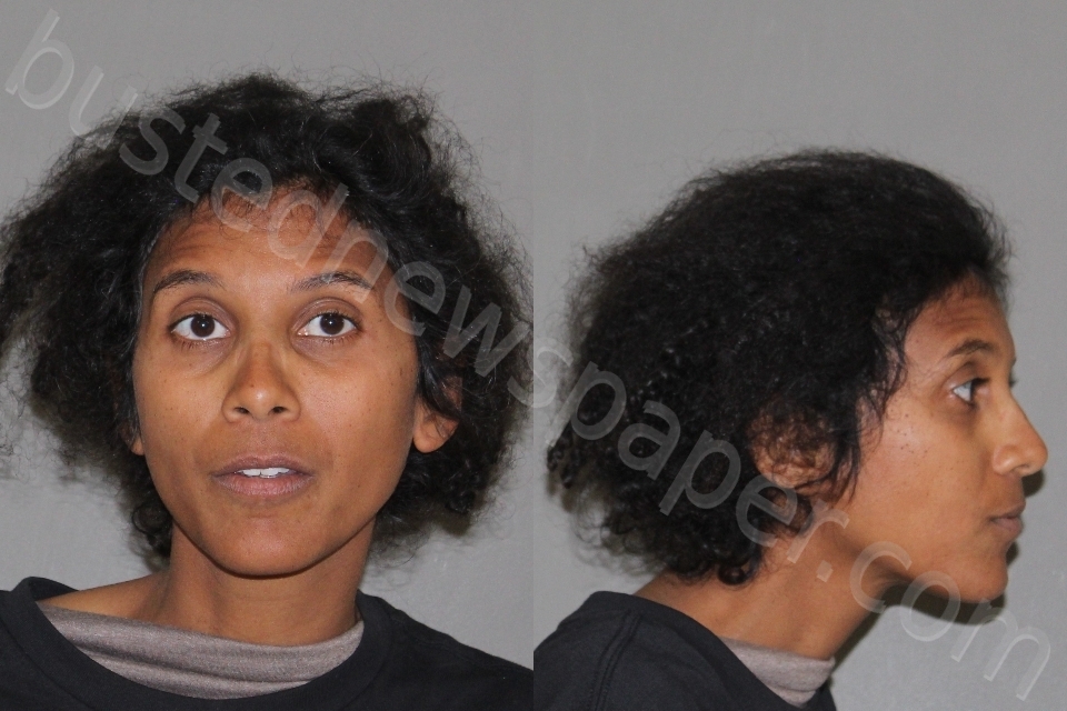 Ward, Sarah Elizabeth | 2026-01-18 Denton County, Texas Booking