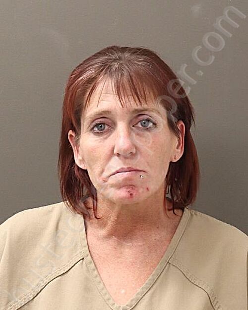 Shaw, Amy Lynn | 2026-01-20 23:58:00 Franklin County, Ohio Booking