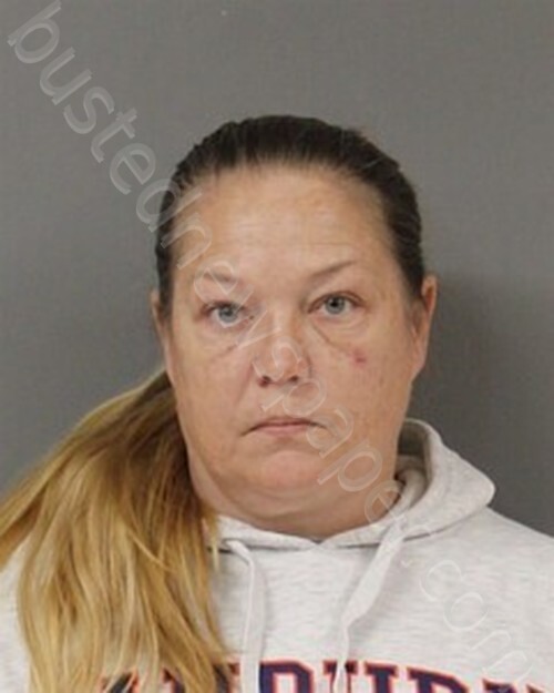 Amanda Fry | 2026-01-20 16:11:00 Blount County, Alabama Booking