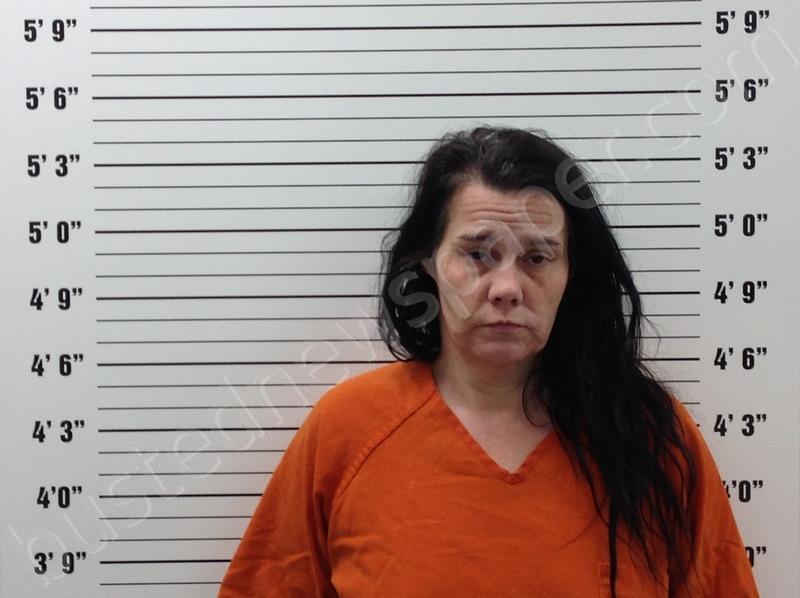 Jahn, Crystal Marie | 2026-01-20 02:56:00 Pickens County, Georgia Booking