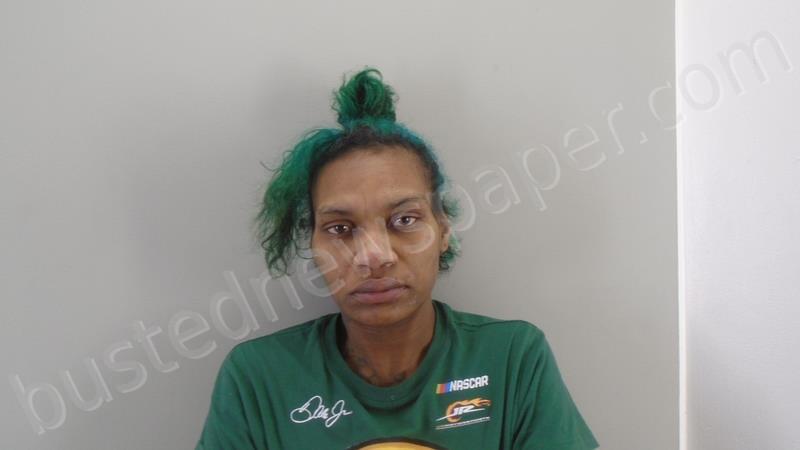 Lewis, Shawndra Kim | 2026-01-20 22:36:00 Richmond County, Virginia Booking