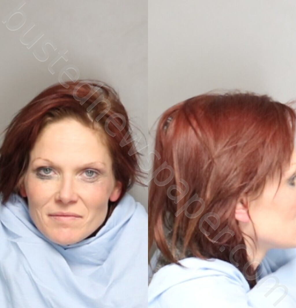 Lowe, Chelsey Lynn | 2026-01-21 Champaign County, Illinois Booking