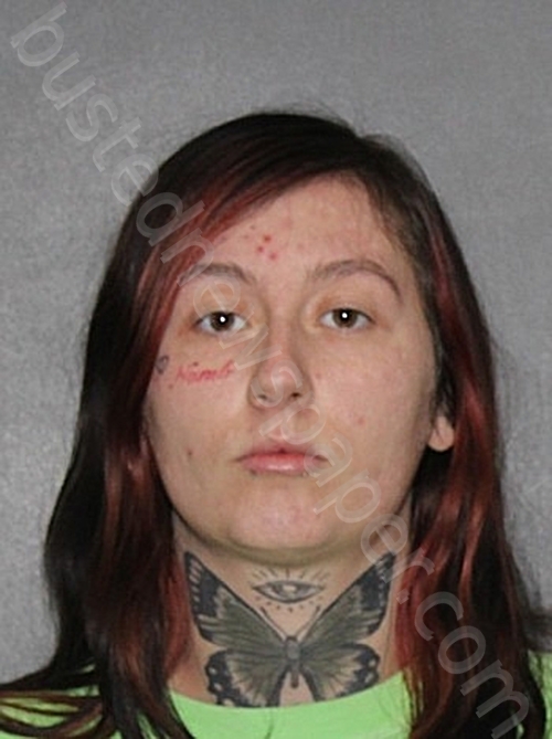 Odell, Kaitlin Ashley | 2026-01-21 Elkhart County, Indiana Booking