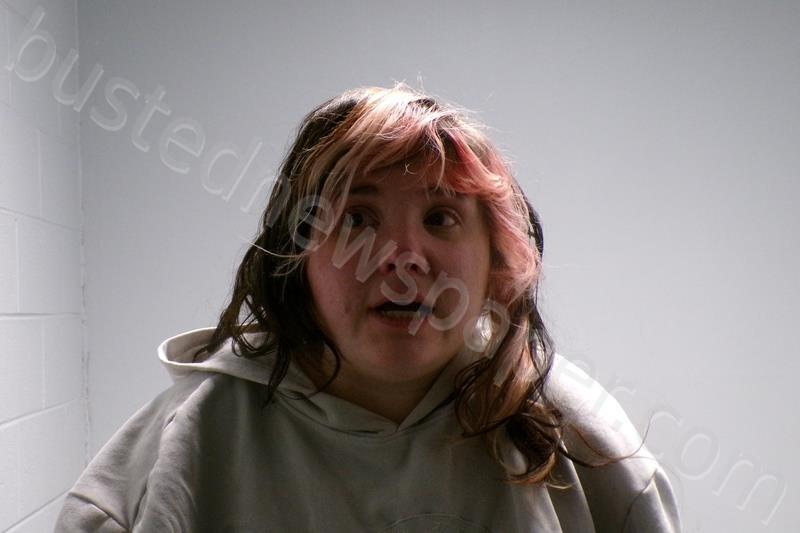 Blevins, Katie Marie | 2026-01-21 16:43:00 Southwest Regional Jail ...