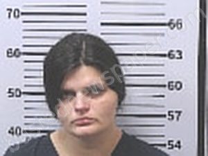 Johnson, Amanda Elizabeth | 2026-01-23 Mobile County, Alabama Booking