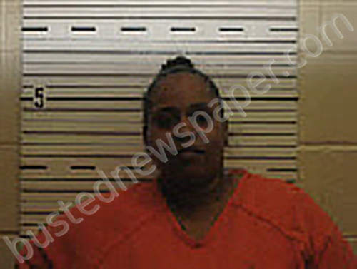 Smith, Amanda Nicole | 2026-01-23 Butler County, Alabama Booking