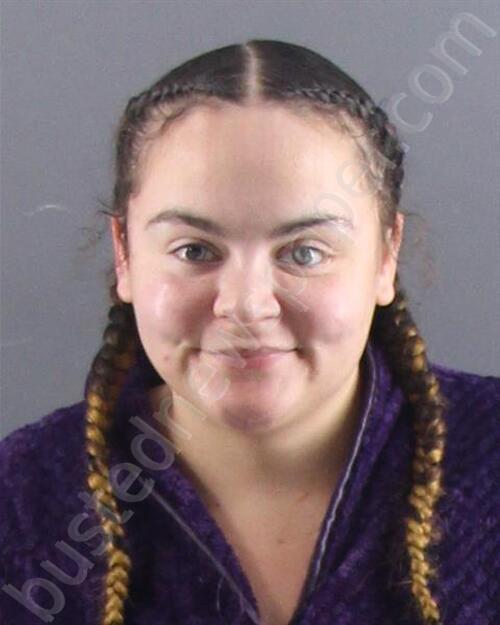 Hill, Julie A | 2026-01-25 Peoria County, Illinois Booking