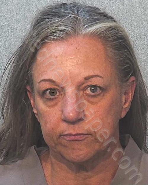 Sarah Catherine Skelly | 2026-01-25 Allen County, Indiana Booking