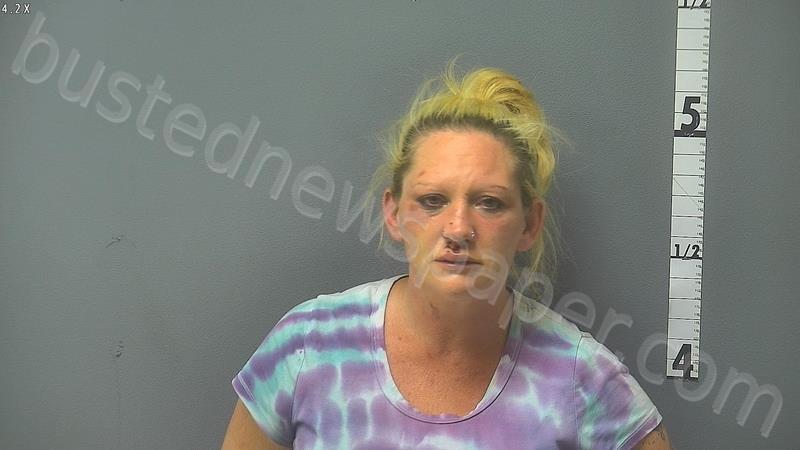 Smith, Katie Ellen | 2026-01-25 04:10:00 Middle River, Virginia Booking