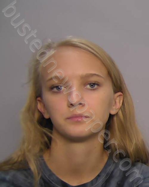 Workman, Tyra Danielle | 2026-01-26 15:44:00 Chesapeake, Virginia Booking