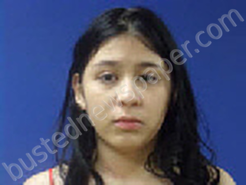 Zaldivar, Jennifer Yissell Munuiga | 2026-01-27 23:54:00 Sampson County ...