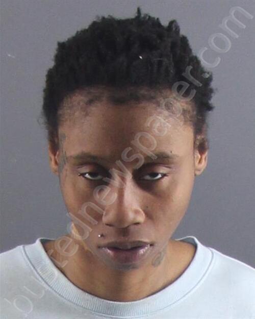 Schrock, Shannon M | 2026-01-27 Peoria County, Illinois Booking