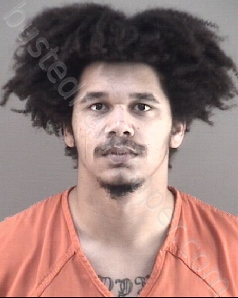 Richardson, Thomas Sonny | 2026-01-27 Wood County, Ohio Booking