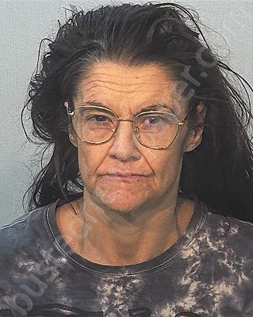 Sarah Christina Wilson | 2026-01-27 Allen County, Indiana Booking