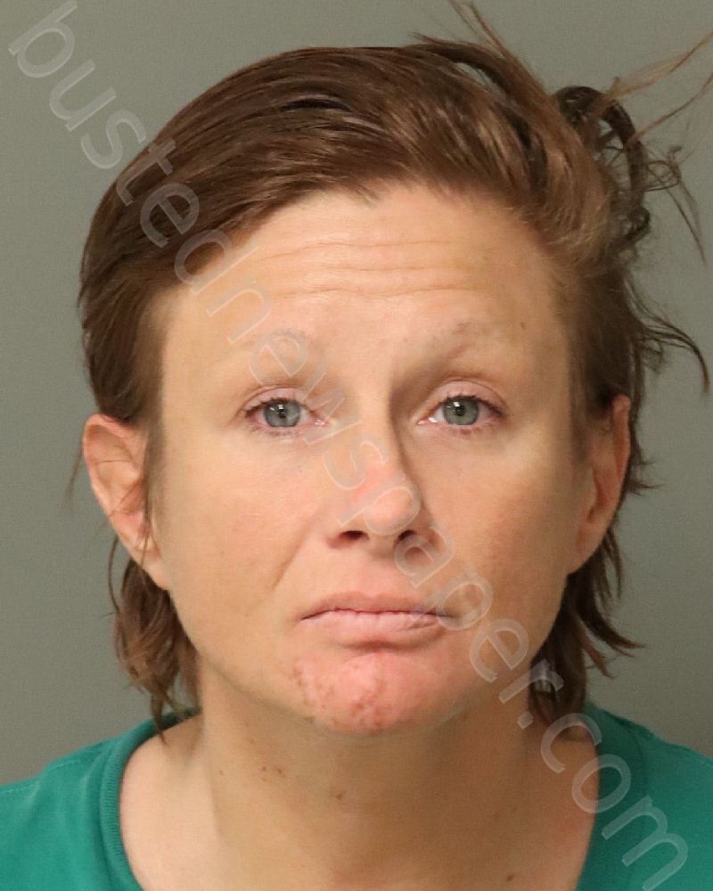 Borka, Sara Anne | 2026-01-27 15:13:00 Wake County, North Carolina Booking