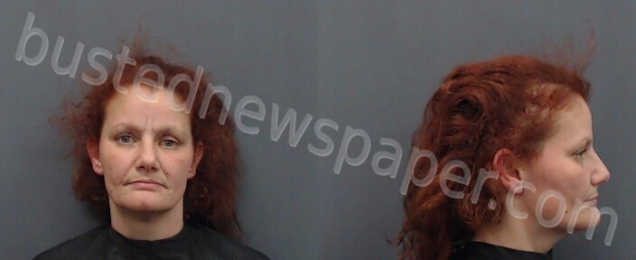 Seitz, Bonnie Louise | 2026-01-28 Gregg County, Texas Booking