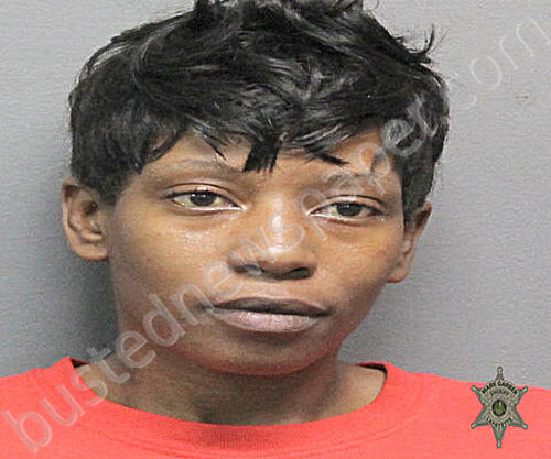 Reed, Tina Marie | 2026-01-28 09:56:05 Lafayette Parish, Louisiana Booking