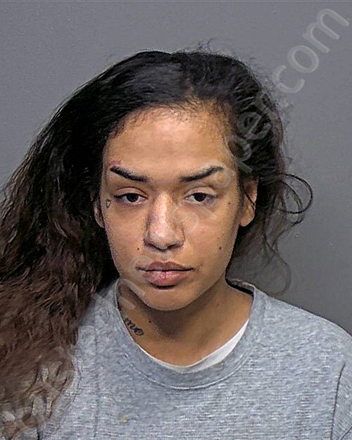 D’angelo, Aaliyah Lanae | 2026-01-28 19:36:23 Porter County, Indiana ...