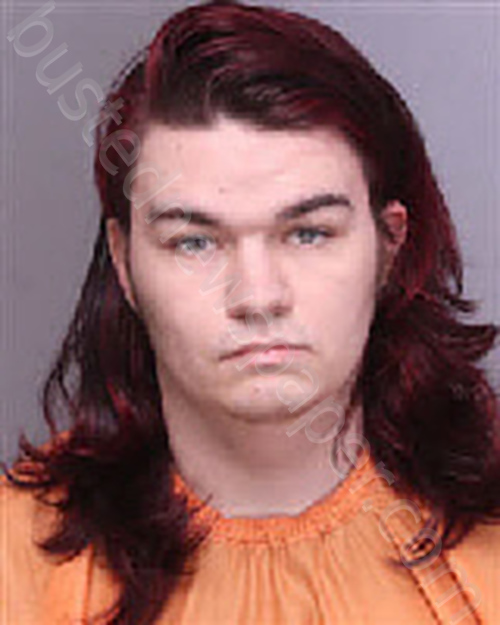 Russell, Michael John | 2026-01-29 12:01:00 Florence County, South ...