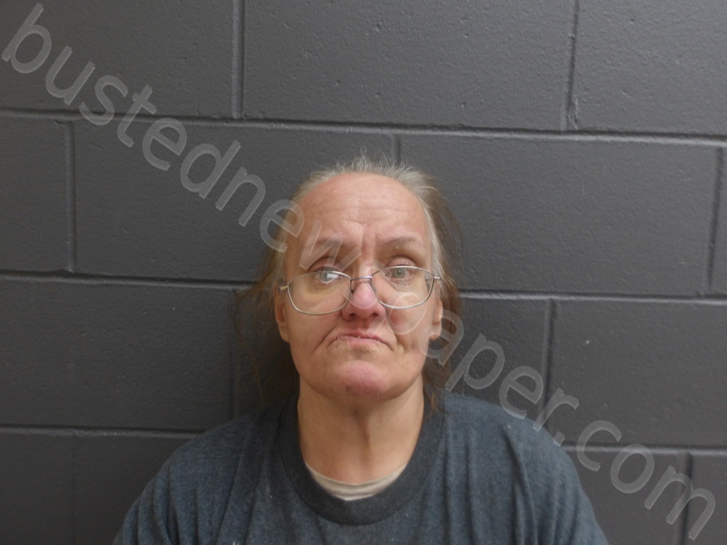 Moore, Amy | 2026-01-29 16:19:00 Clay County, Indiana Booking