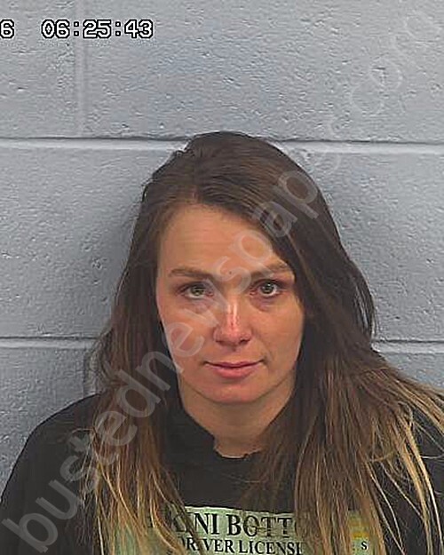 Vincent-lee, Chasity Marie | 2026-01-29 04:43:50 Etowah County, Alabama ...