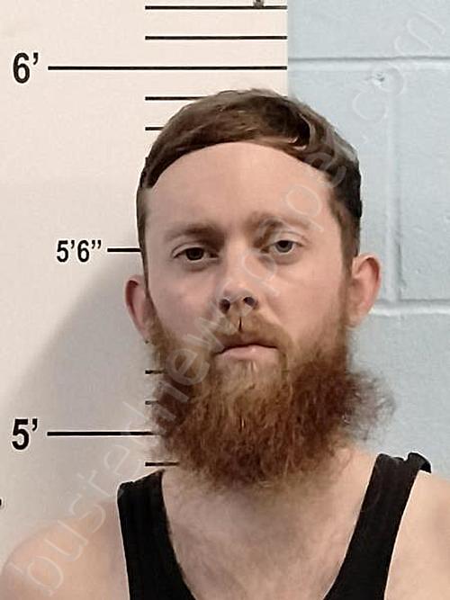 Allgaier, Austin Steven | 2026-01-29 03:08:00 Lincoln County, Missouri ...