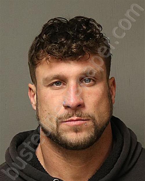 Wojcik,thomas Michael | 2026-01-30 21:11:00 Grayson County, Virginia ...