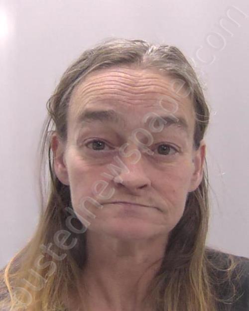 Gooch, Frances Rose | 2026-01-30 15:11:00 Chesapeake, Virginia Booking